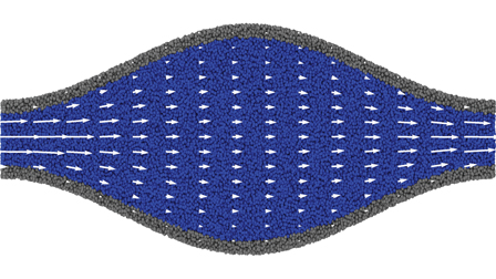 Mesoscale particle-based simulations of flow in expansion–contraction ...