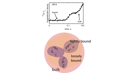 Multi-mode water dynamics in hydration shells of villin headpiece ...