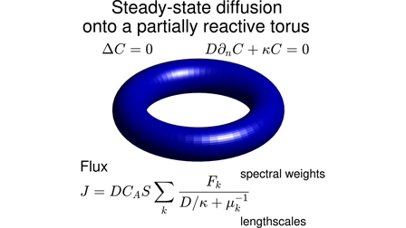 Imperfect diffusion-controlled reactions on a torus and on a pair of ...