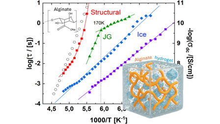 Protonic charge conduction and H2O-induced relaxations in hydrated ...