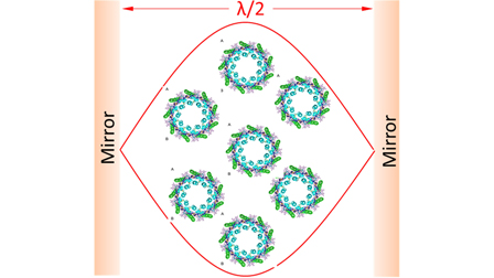 Microcavity-enhanced exciton dynamics in light-harvesting complexes ...