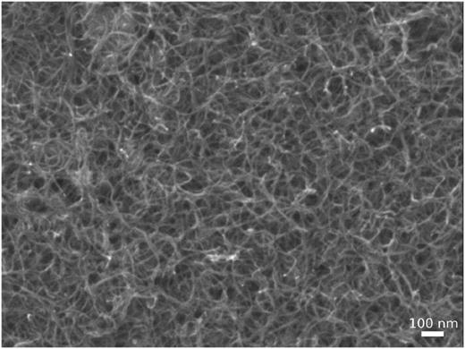 How to RSoXS | The Journal of Chemical Physics | AIP Publishing
