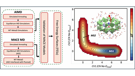Elucidating ion capture and transport mechanisms of Preyssler anions in aqueous solutions using ...