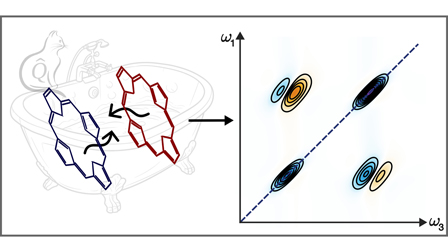 A study on cross peaks in two-dimensional optical spectroscopy: Quantum ...