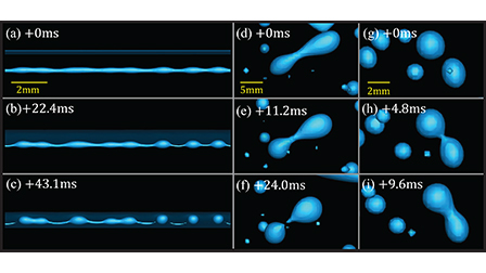A numerical simulation framework for bubbly flow and sound generation in laboratory-scale ...