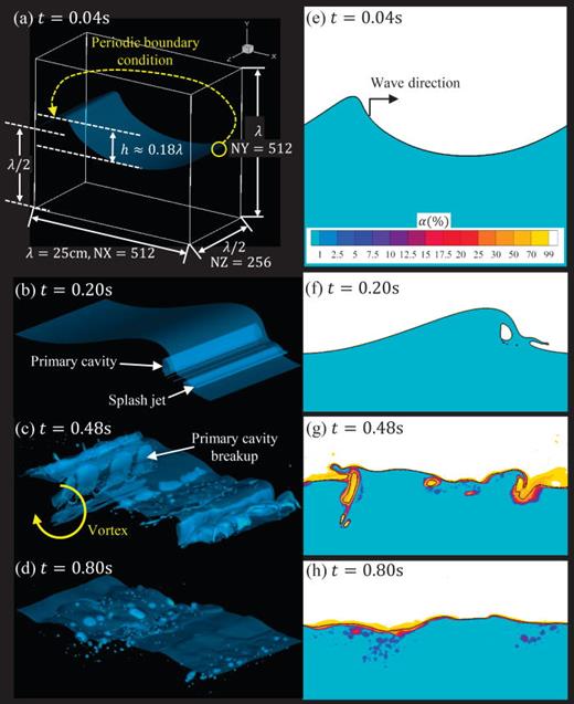 A numerical simulation framework for bubbly flow and sound generation in laboratory-scale ...