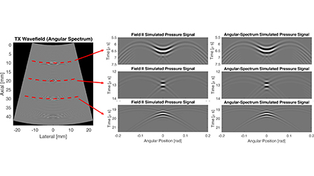 Angular spectrum method for curvilinear arrays: Theory and application ...