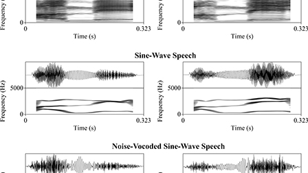Perception of noise-vocoded sine-wave speech of Japanese pitch-accent ...