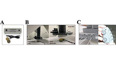 An investigation of interference between electromagnetic articulography ...
