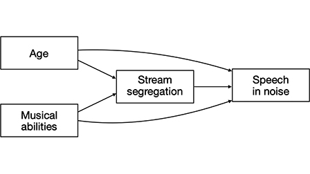 Stream segregation, musical abilities, and the development of speech ...