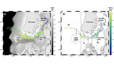 Detection ranges of blue whale vocalizations from a glider-based ...