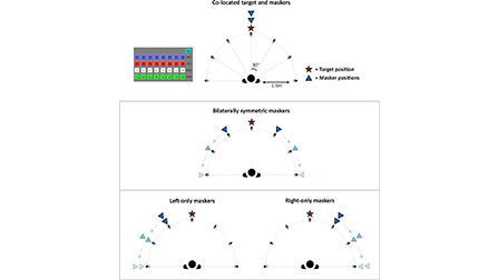 Effects of spatial asymmetry and voice-gender differences between ...