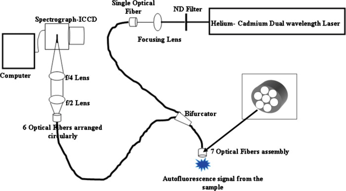 Parameter optimization of a laser-induced fluorescence system for in ...