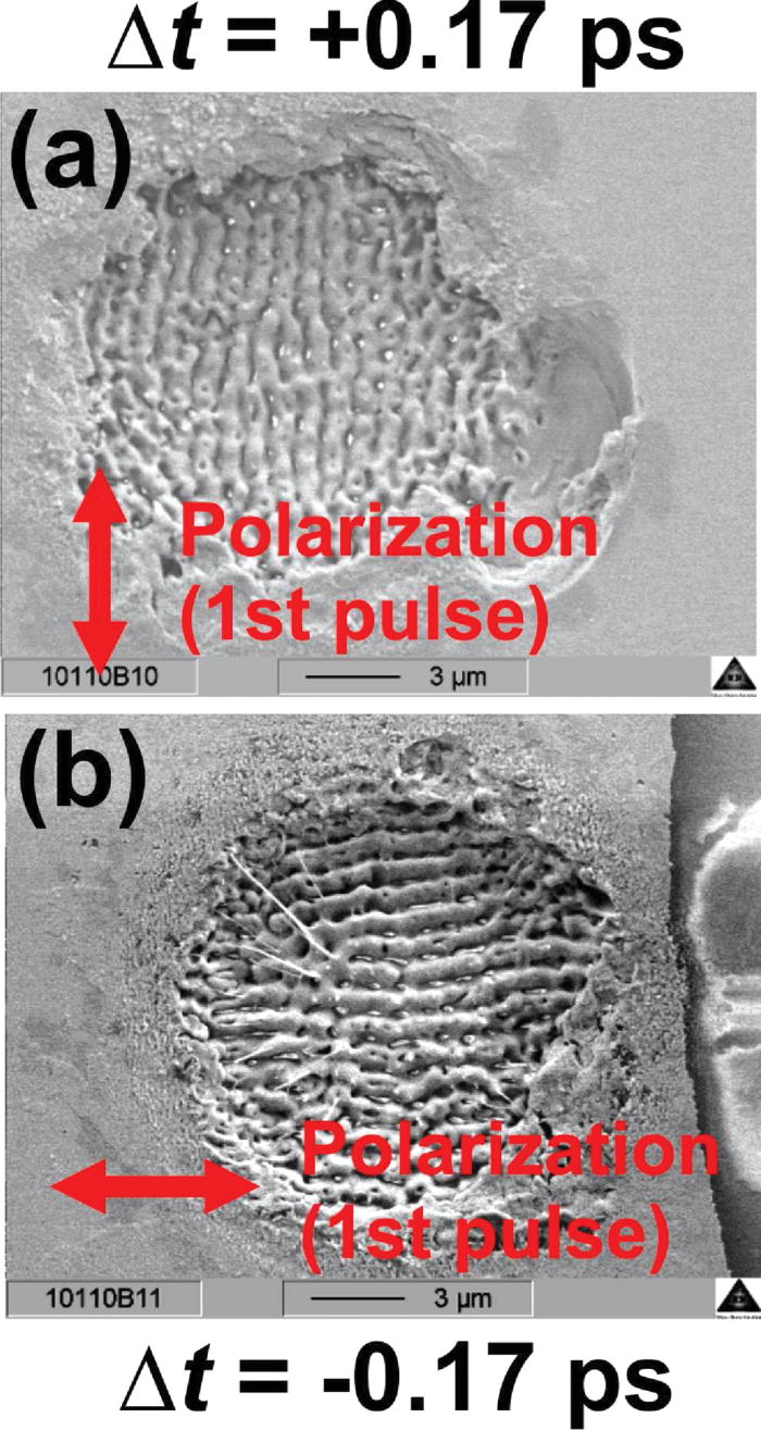 Femtosecond laser-induced periodic surface structures | Journal of ...