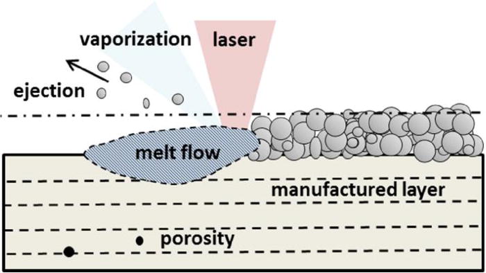 Analysis of laser–melt pool–powder bed interaction during the selective ...