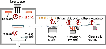 Electrophotographic multi-material powder deposition for additive ...