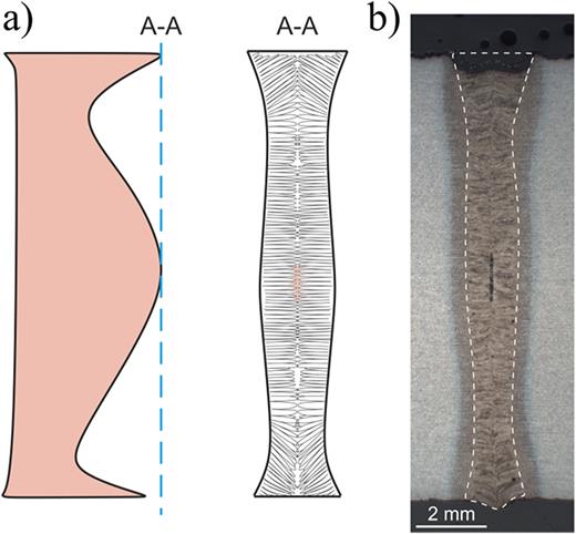 On the search for the origin of the bulge effect in high power laser ...