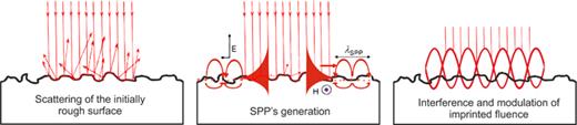 Surface functionalization by laser-induced periodic surface structures ...