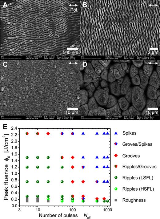 Surface functionalization by laser-induced periodic surface structures ...