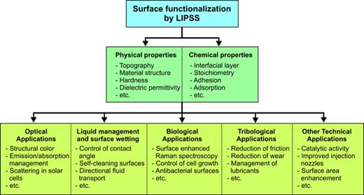 Surface functionalization by laser-induced periodic surface structures ...