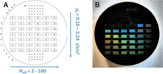 Surface functionalization by laser-induced periodic surface structures ...
