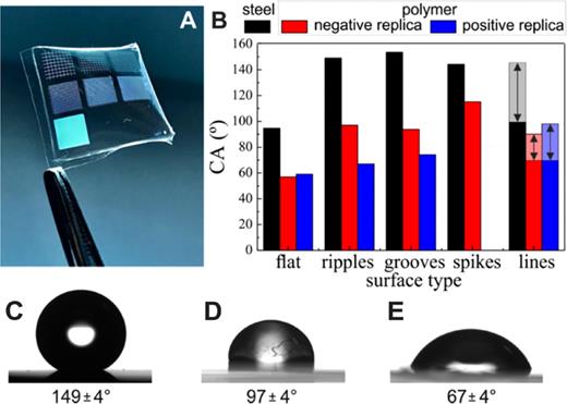 Surface functionalization by laser-induced periodic surface structures ...