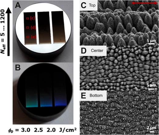 Surface functionalization by laser-induced periodic surface structures ...