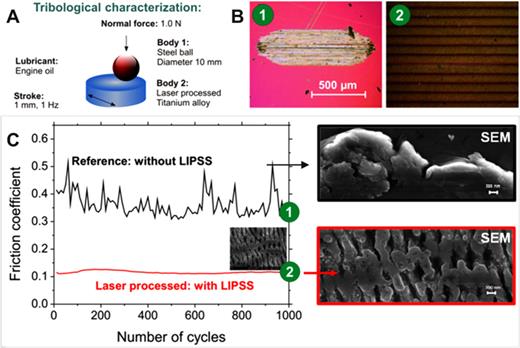 Surface functionalization by laser-induced periodic surface structures ...