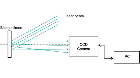 Laser biospeckle contrast measurements stimulated from liposomal ...