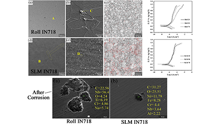 Microstructure and corrosion of SLM IN718 in 3.5% NaCl solution at high ...