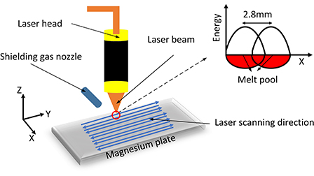 Effect of laser surface melting on microstructure and properties of Mg ...