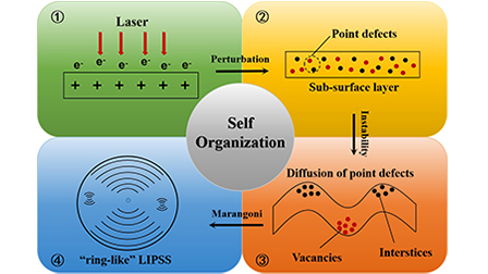 Mechanism study of femtosecond laser-induced periodic surface ...