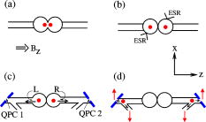 Analytical solution of the time evolution of an entangled electron spin ...
