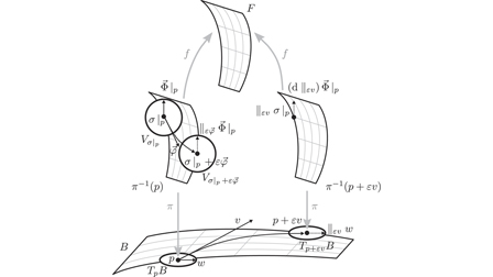 Defining geometric gauge theory to accommodate particles, continua, and ...