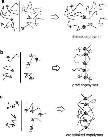 Morphology and rheology of compatibilized polymer blends: Diblock ...