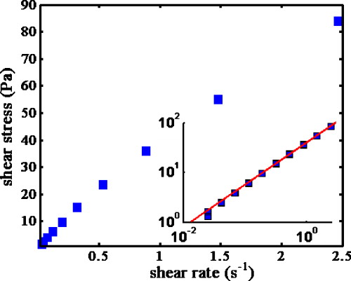 Local transient rheological behavior of concentrated suspensions ...