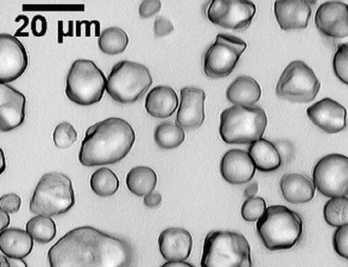 Shear thickening of cornstarch suspensions | Journal of Rheology | AIP ...