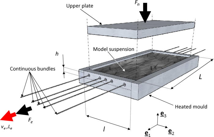 Microstructure and deformation micromechanisms of concentrated fiber ...