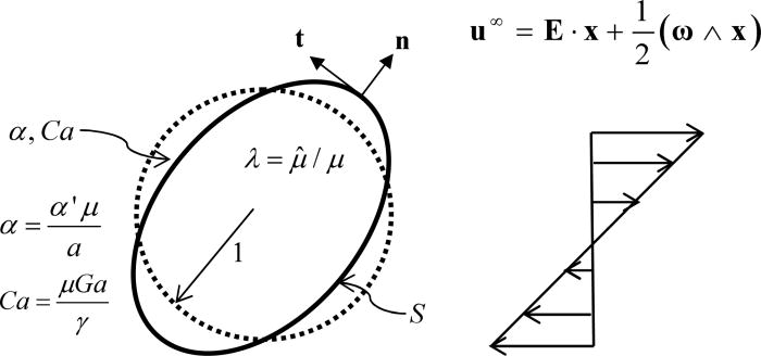 The effect of interfacial slip on the rheology of a dilute emulsion of ...