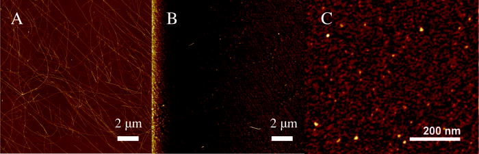 Shear and dilatational linear and nonlinear subphase controlled ...