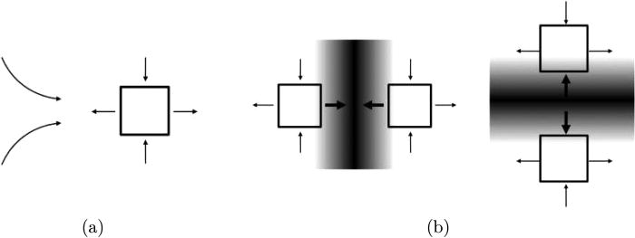 Concentration fluctuations in polymer solutions under extensional flow ...
