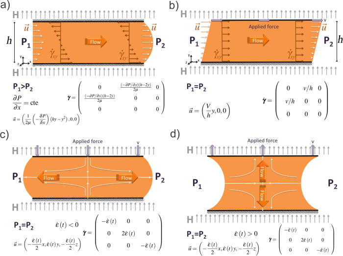 Extensional rheometry of magnetic dispersions | Journal of Rheology ...