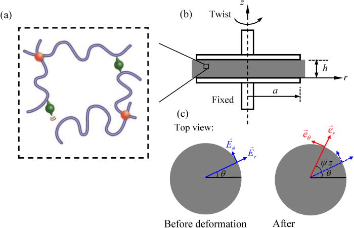 Rheology of a dual crosslink self-healing gel: Theory and measurement ...