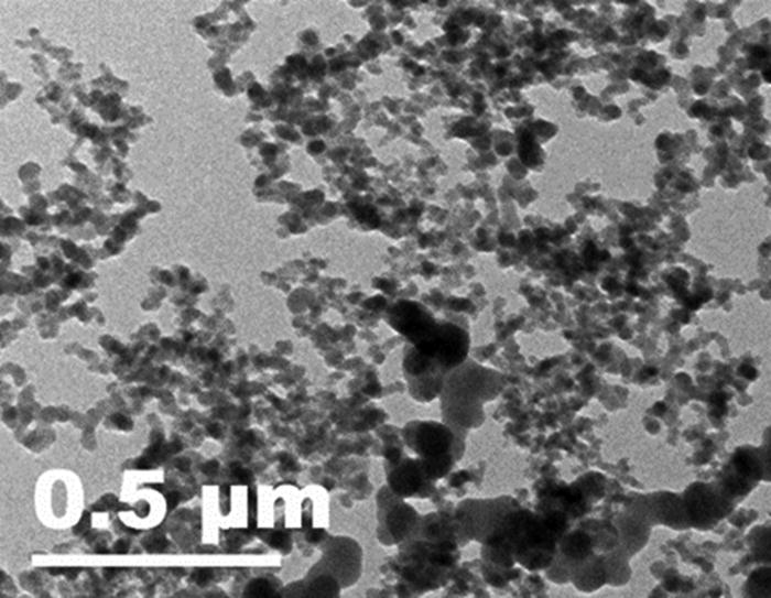 Dynamic shear rheology of a thixotropic suspension: Comparison of an ...