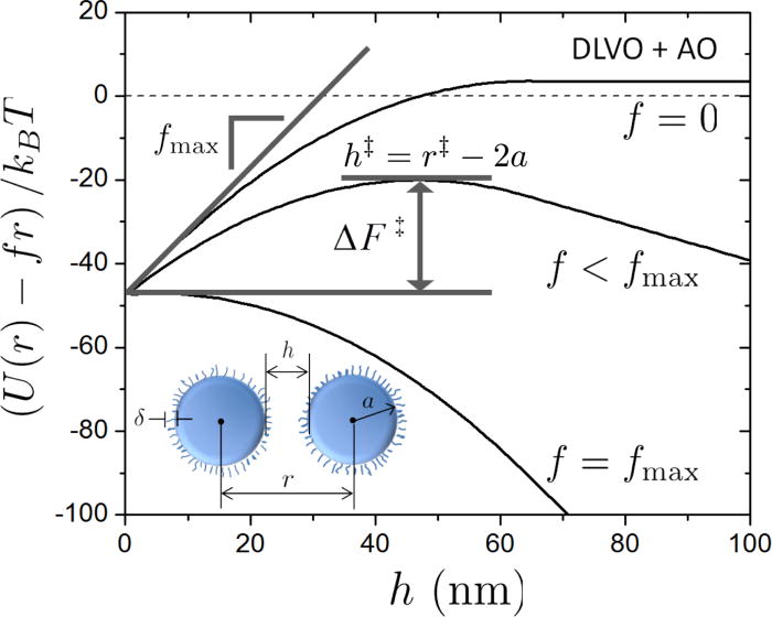 Bond rupture between colloidal particles with a depletion interaction ...