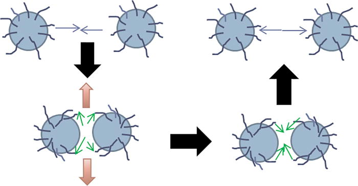 Compatibilization mechanism induced by organoclay in PMMA/PS blends ...