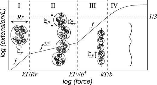 Single polymer dynamics for molecular rheology | Journal of Rheology ...