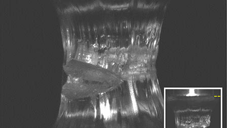 Flow induced crystallization prevents melt fracture of HDPE in uniaxial ...