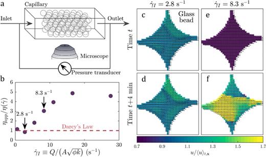 Transport of complex and active fluids in porous mediaa) | Journal of ...