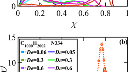 Elucidating the role of network topology dynamics on the coil-stretch ...